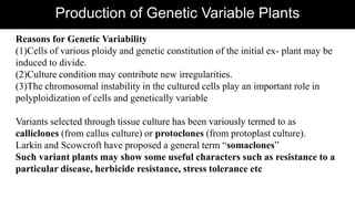Applications of Plant Tissue Culture | PPT
