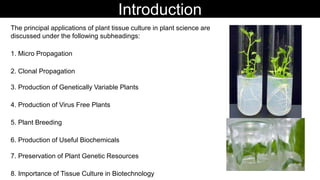 Applications of Plant Tissue Culture | PPT