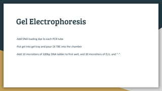 Ptc experiment | PPTX