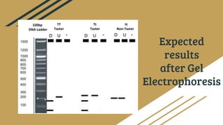Ptc experiment | PPTX