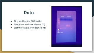 Ptc experiment | PPTX
