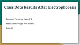 Ptc experiment | PPTX