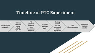 Ptc experiment | PPTX