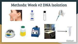 Ptc experiment | PPTX