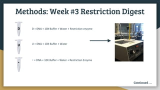 Ptc experiment | PPTX
