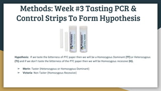 Ptc experiment | PPTX