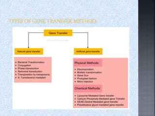 Direct Gene Transfer method (gene gun method). | PPTX