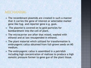 Direct Gene Transfer method (gene gun method). | PPTX