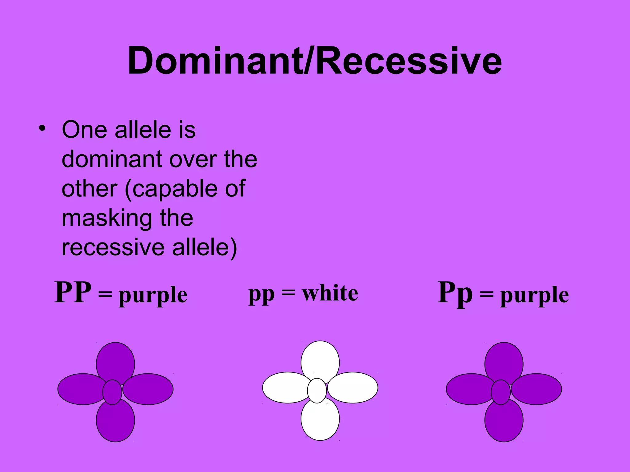 Ptc gene background information | PPT