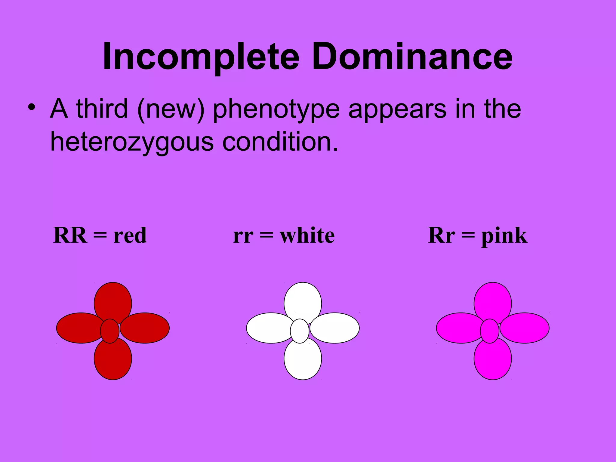 Ptc gene background information | PPT