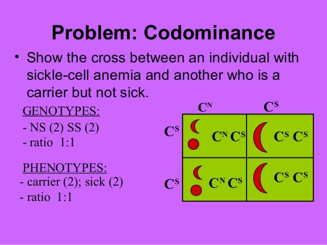Ptc gene background information