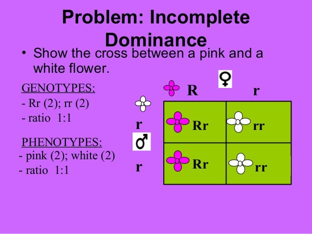 Ptc gene background information