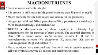 PTC media widely used for the propagation of plants | PPT