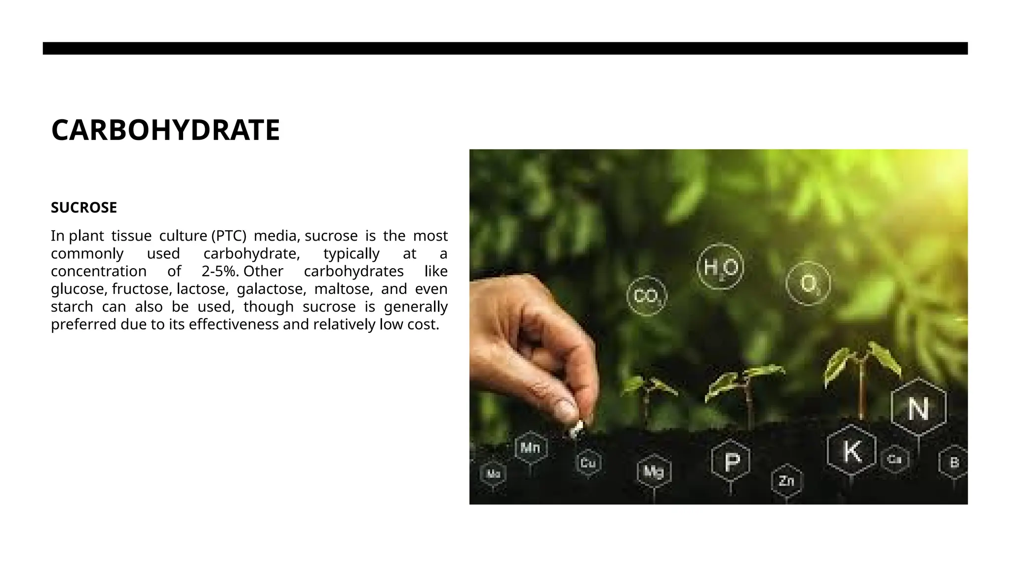 Plant Tissue Culture Media (components and types) | PPTX