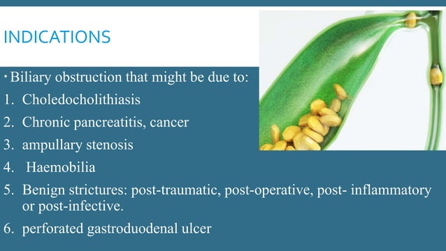 Ptc )percutaneous transhepatic cholangiography | PPTX | Digestive ...