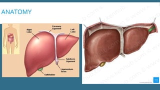Ptc )percutaneous transhepatic cholangiography | PPTX