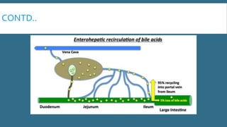 Ptc )percutaneous transhepatic cholangiography | PPTX