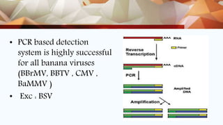 Virus Indexing methods | PPTX