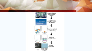 Virus Indexing methods | PPTX