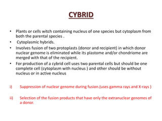 somatic hybridization | PPTX