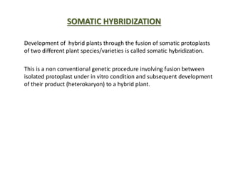 somatic hybridization | PPTX