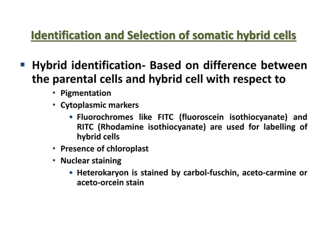 somatic hybridization | PPTX | Gardening | Home & Garden