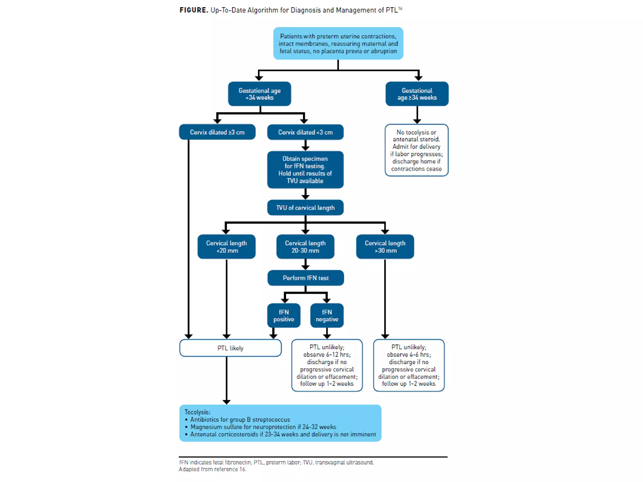 Preterm delivery : Preterm labour and PPROM | PPTX