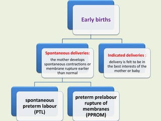 Preterm delivery : Preterm labour and PPROM | PPTX