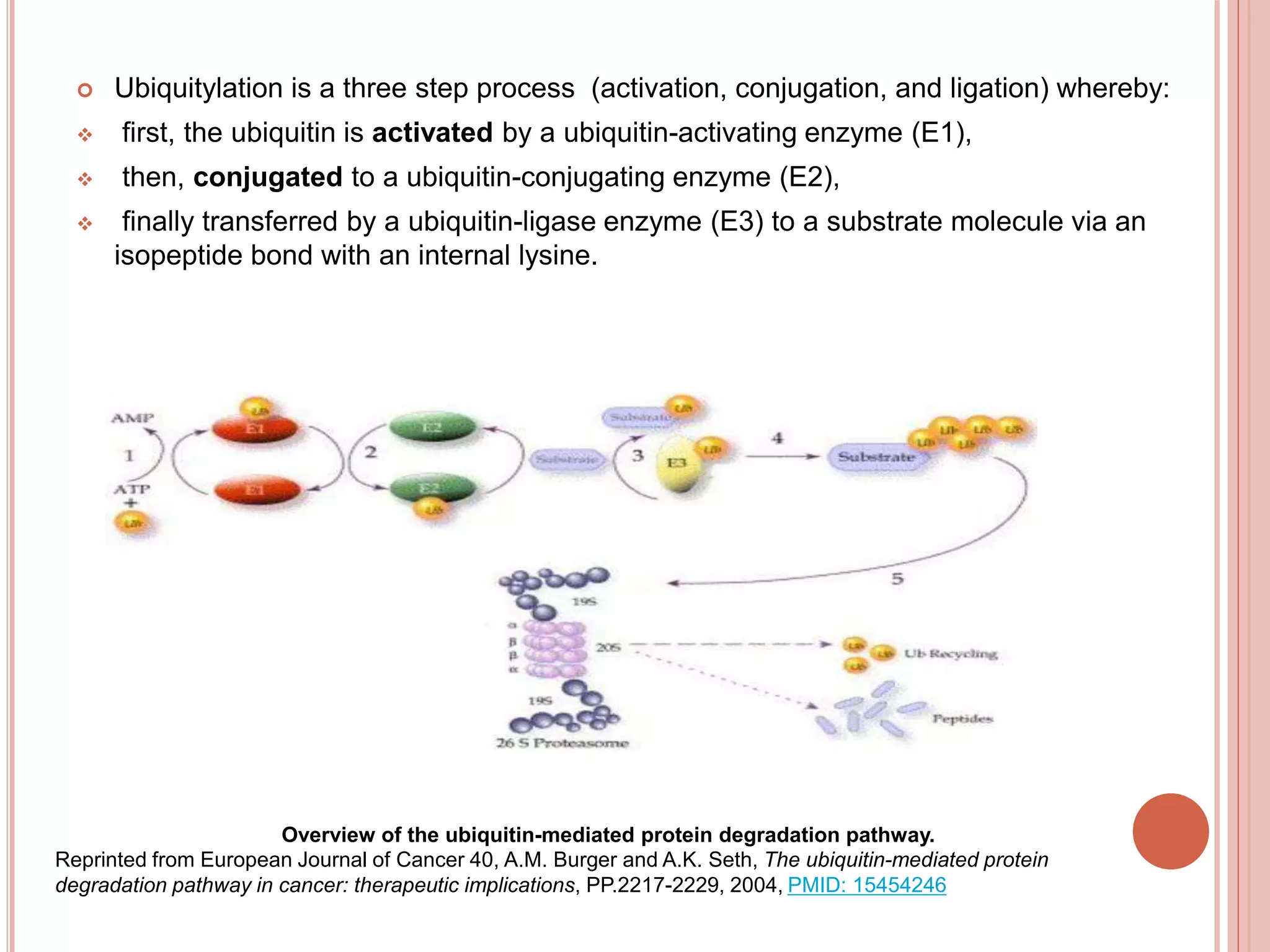 Post translational modifications | PPTX