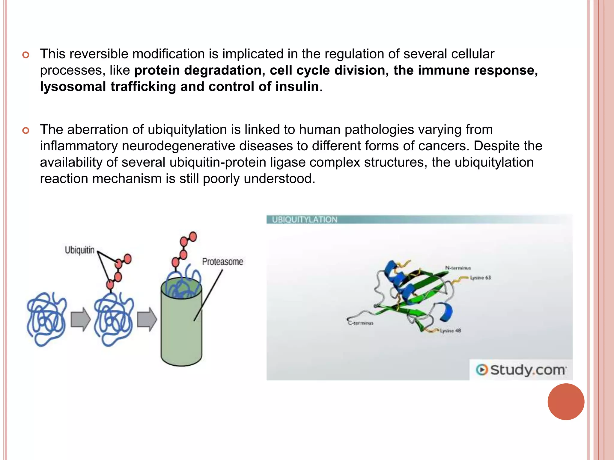 Post translational modifications | PPTX