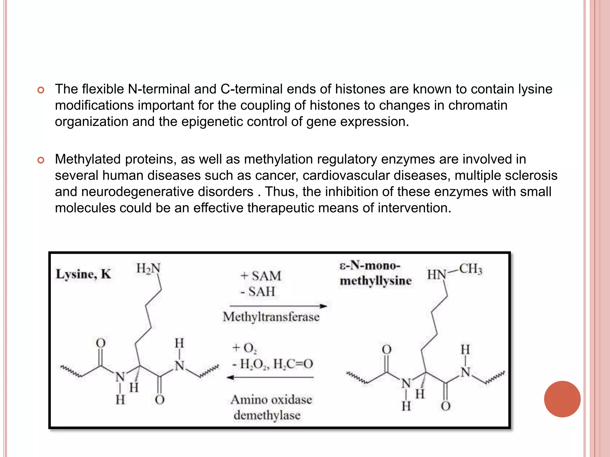 Post Translational Modifications Pptx Chemistry Science