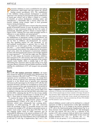 Pten and eph b4 regulate the establishment of perisomatic inhibition in ...
