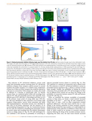 Pten and eph b4 regulate the establishment of perisomatic inhibition in ...
