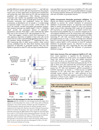 Pten and eph b4 regulate the establishment of perisomatic inhibition in ...