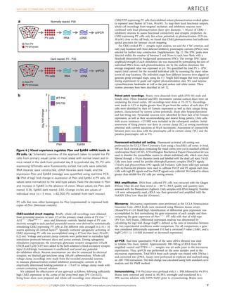 Pten and eph b4 regulate the establishment of perisomatic inhibition in mouse visual cortex | PDF