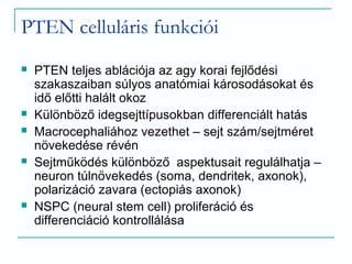 Pten signaling in asd | PPT