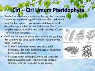Pteridophyta | PPTX
