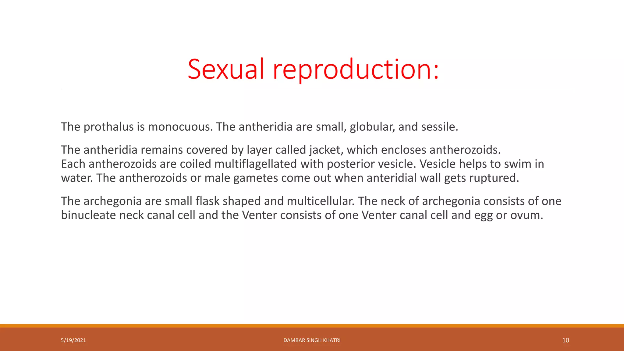 Pteridophyta/ class 11 biology | PPTX