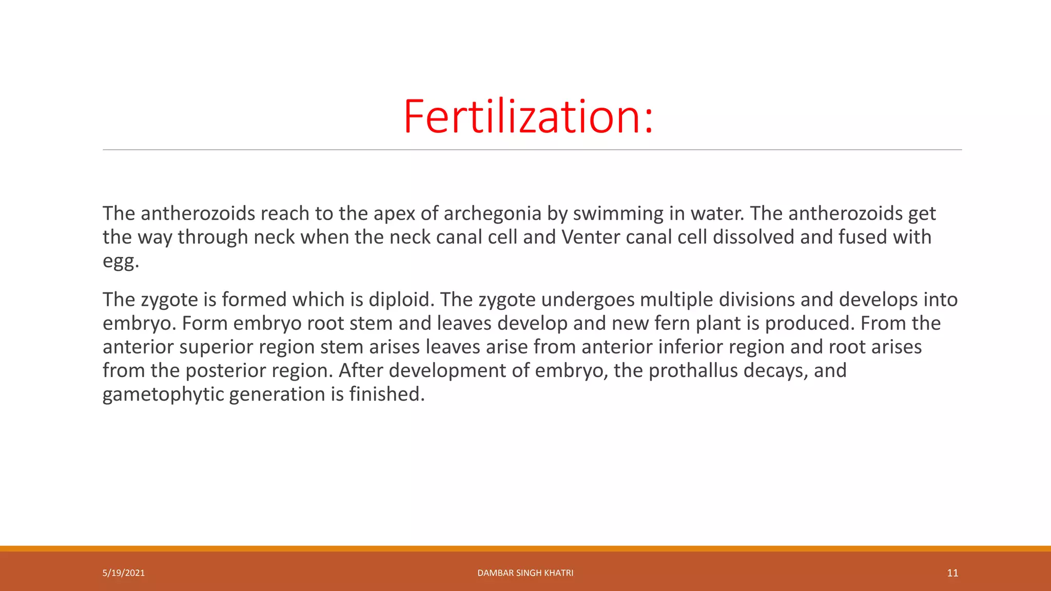 Pteridophyta/ class 11 biology | PPTX