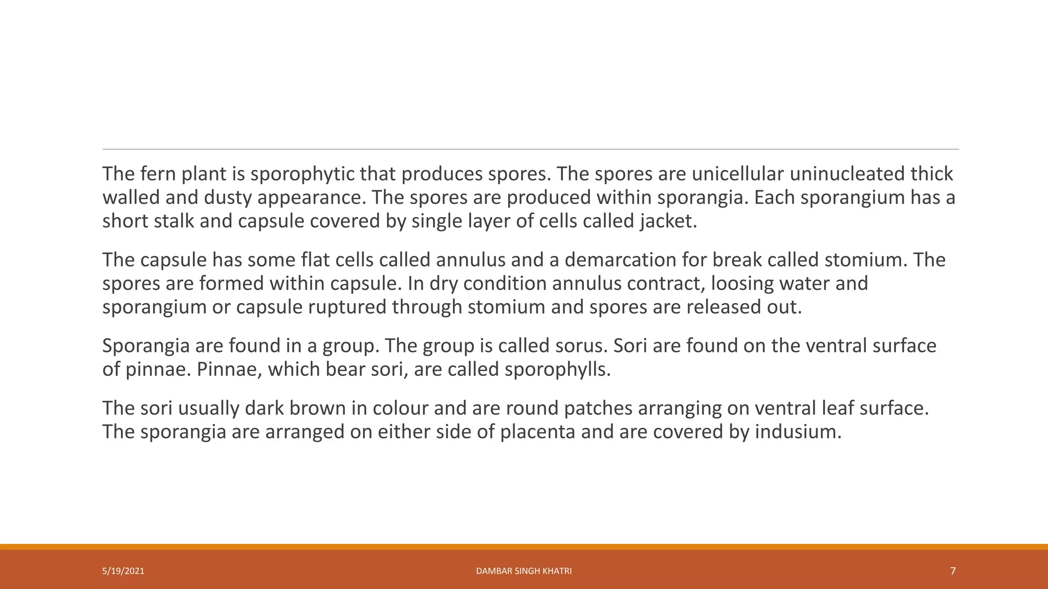 Pteridophyta/ class 11 biology | PPTX