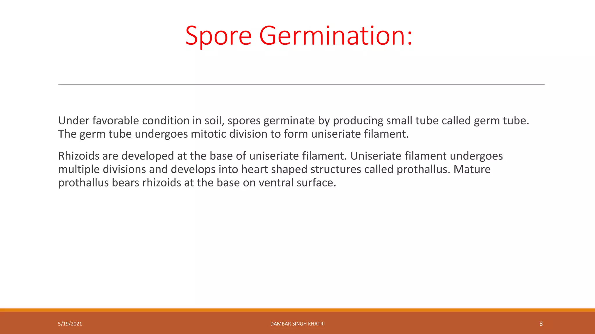 Pteridophyta/ class 11 biology | PPTX