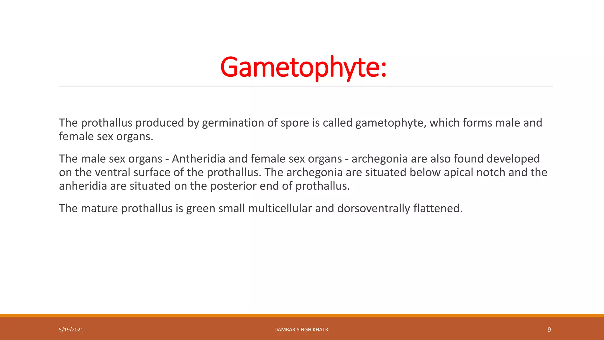 Pteridophyta/ class 11 biology | PPTX