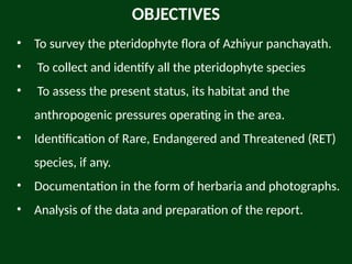 PTERIDOPHYTE FL-WPS Rajesh kumar Office.pptx