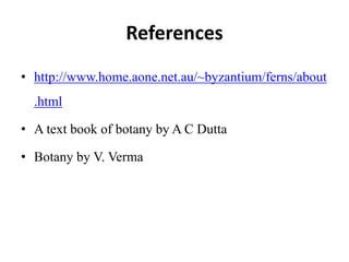 Pteridophytes | PPTX