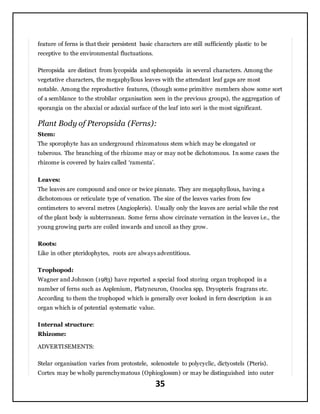 Pteridophytes | DOCX
