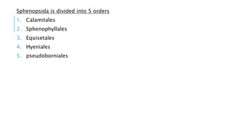 Pteriduphytes 2 | PPTX