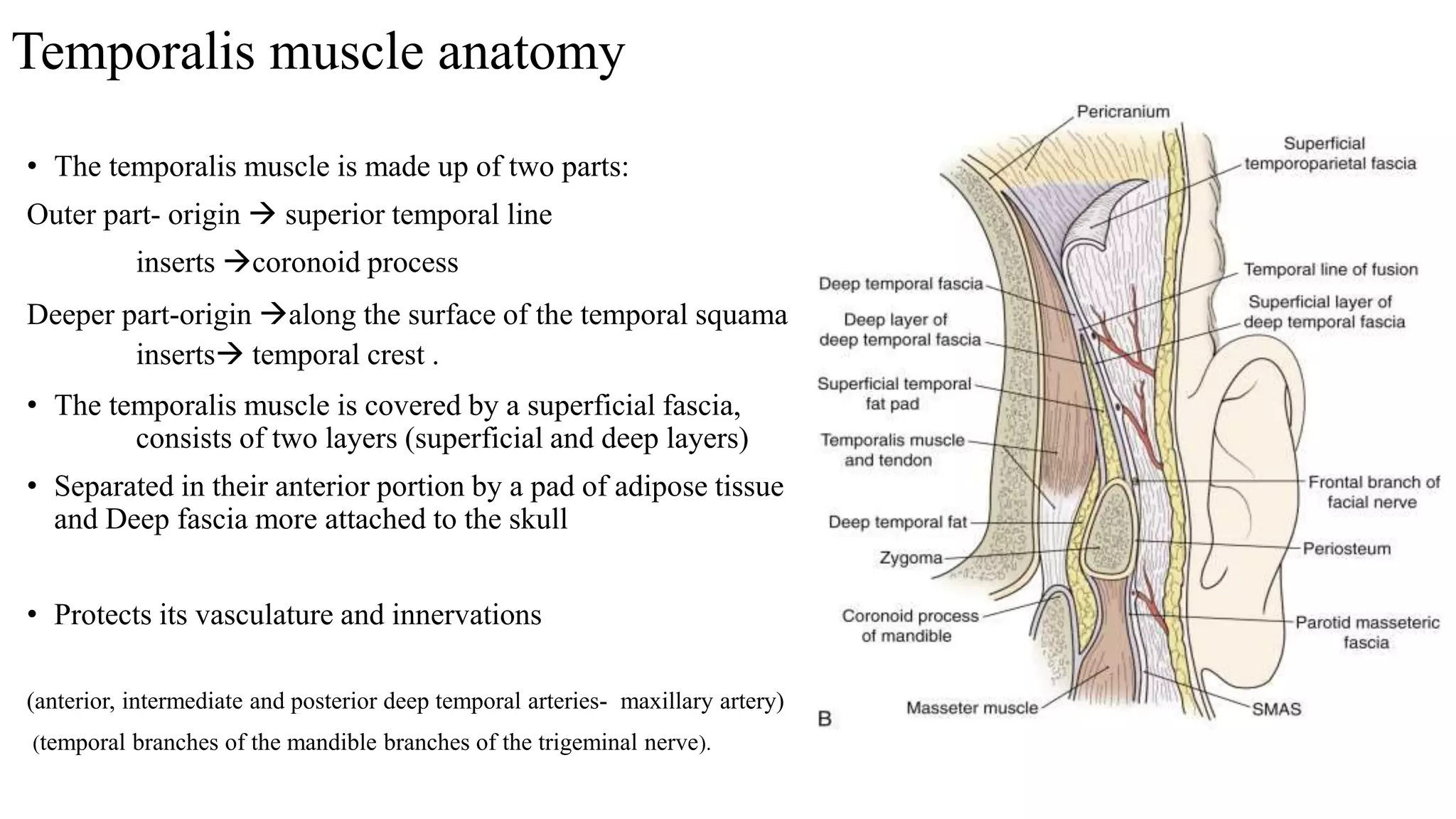 Pterional craniotomy | PPTX