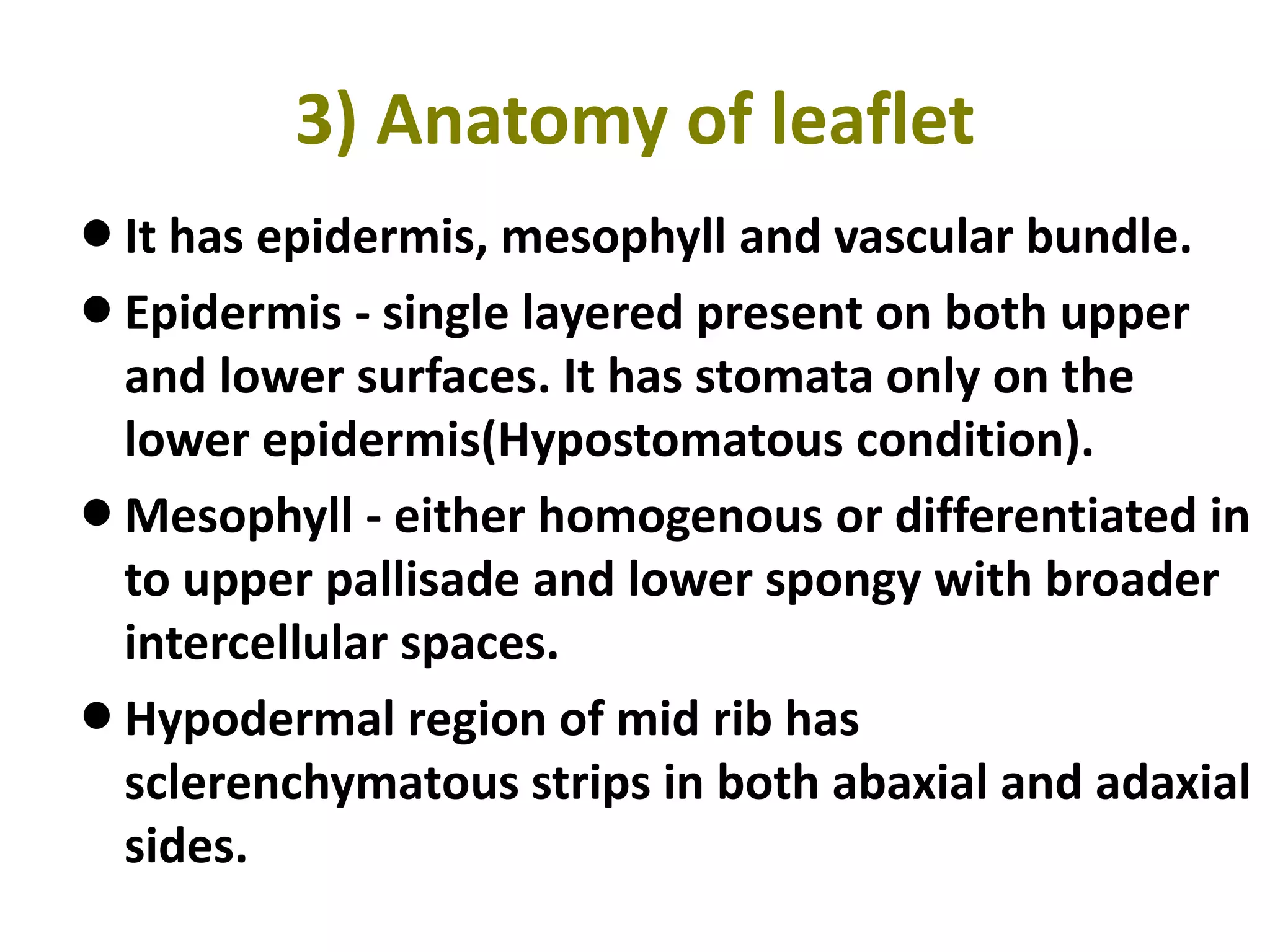 Pteris ppt | PPTX