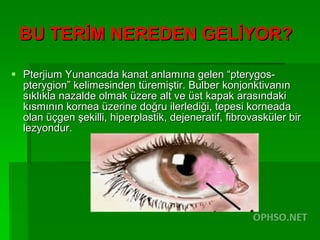 Pterjium epidemiyoloji | PPT