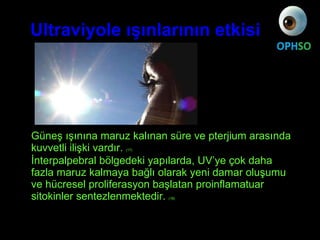 Pterjium patogenez | PPT